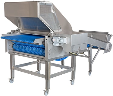 Blueberry Sorting | WECO