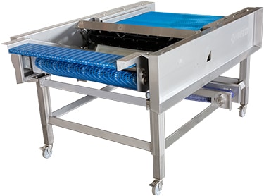 Blueberry Sorting | WECO